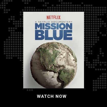 Netflix: Mission Blue Documentary - evee Life